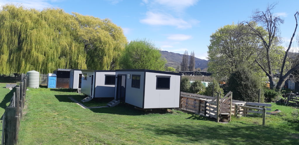 Ram Semen Collection and Storage - Genetic Gains